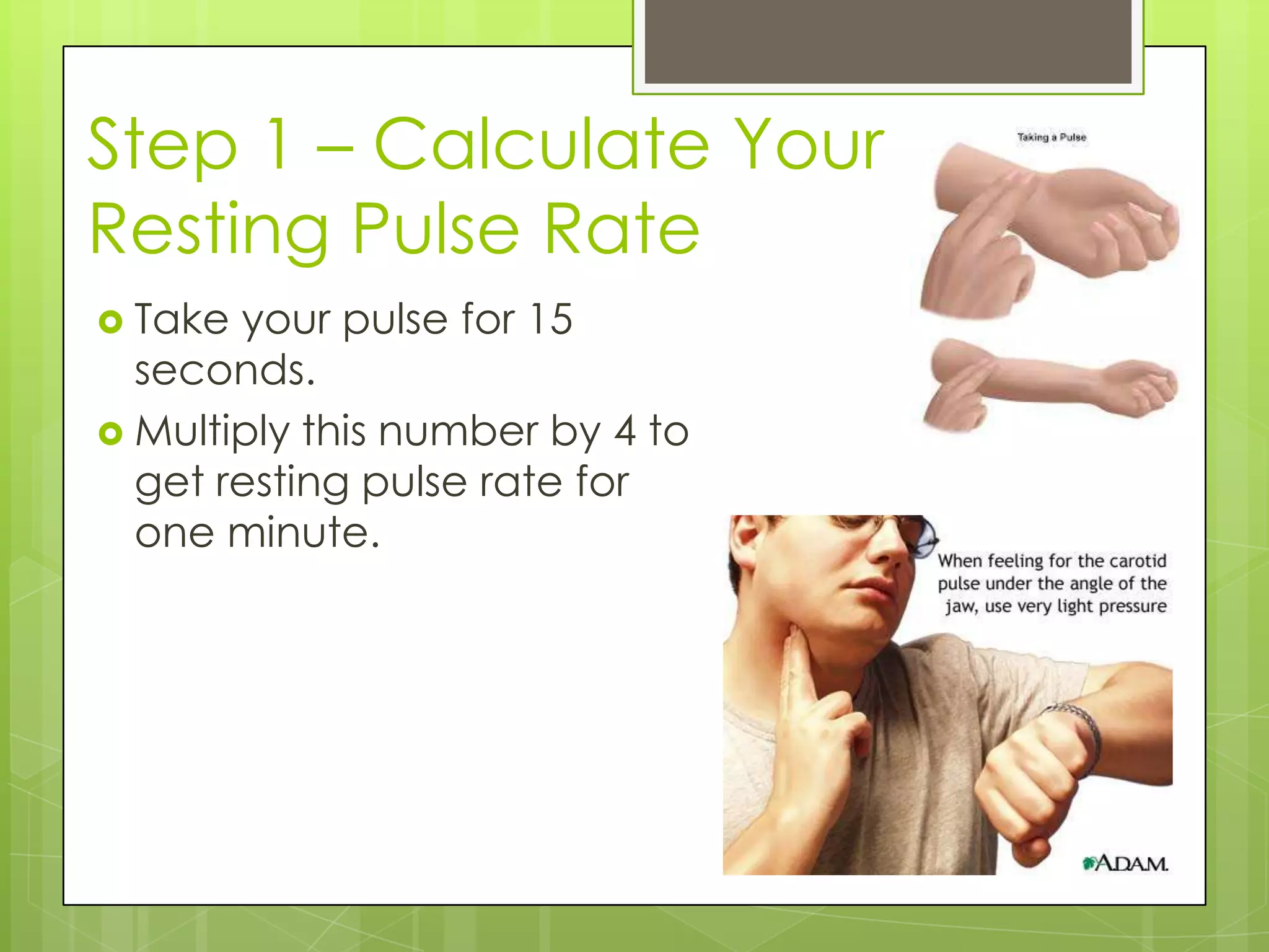 Homeostasis: A Balancing Act | PPTX