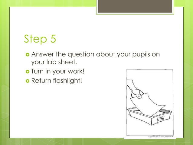 Homeostasis: A Balancing Act | PPT