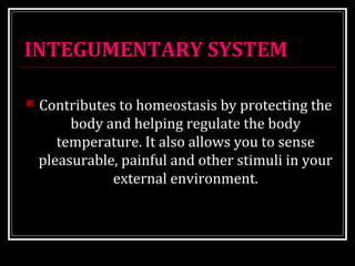Homeostasis | PPT