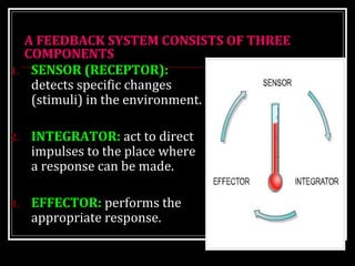 Homeostasis | PPT