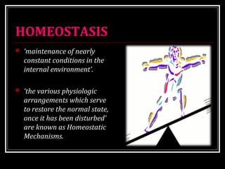 Homeostasis | PPT