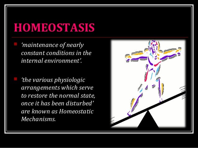 Homeostasis