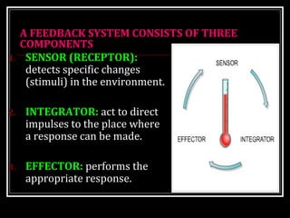 HOMEOSTASIS | PPT