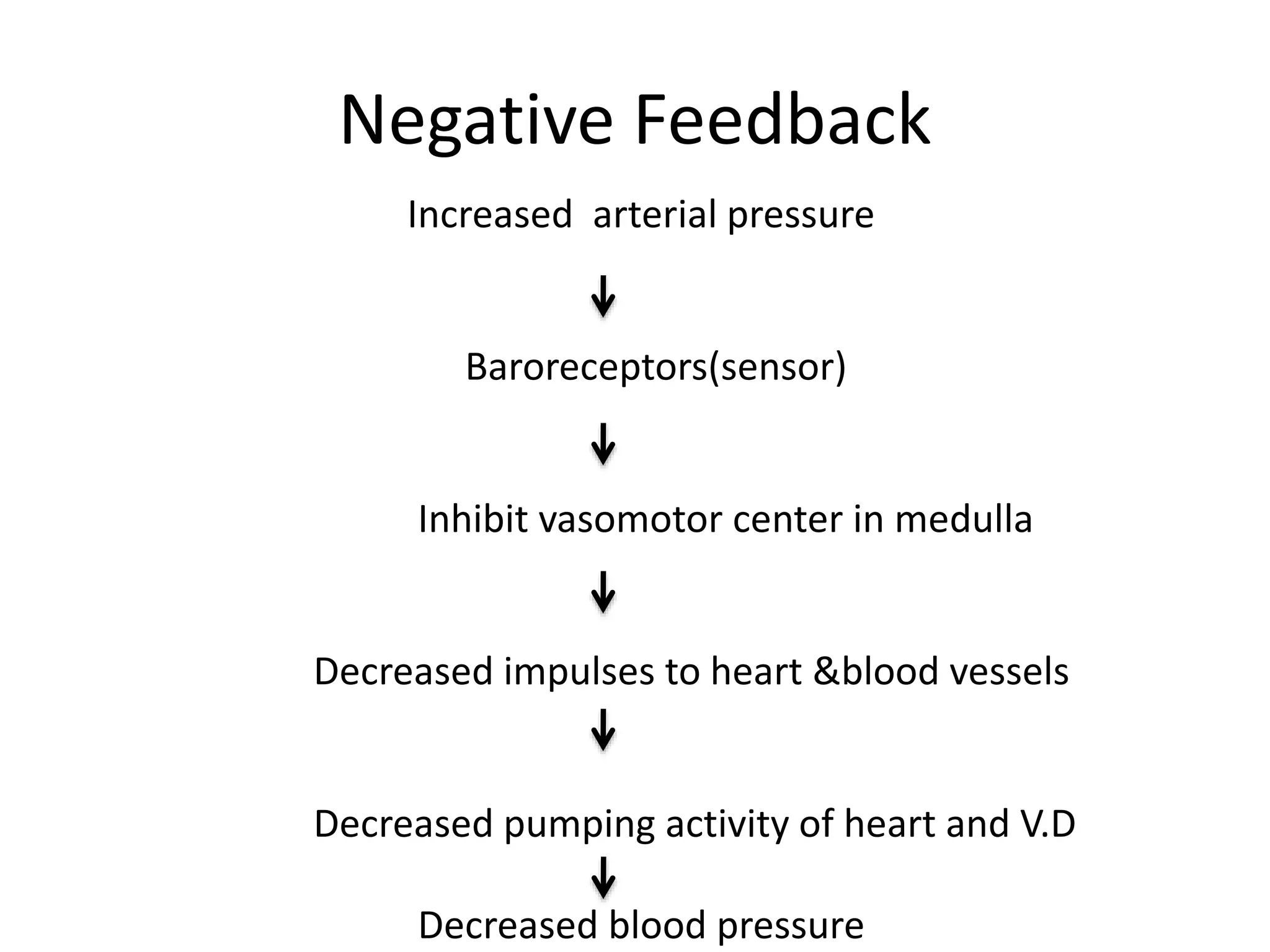 Physiology and Homeostasis | PPTX