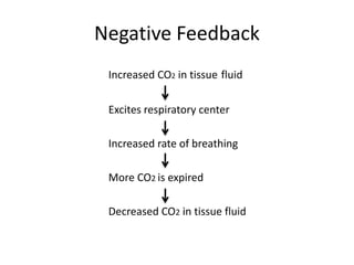 Physiology and Homeostasis | PPTX