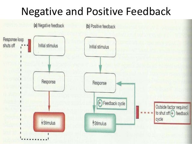 Postive Feedback Loop