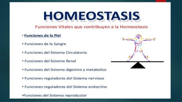 Homeostasis