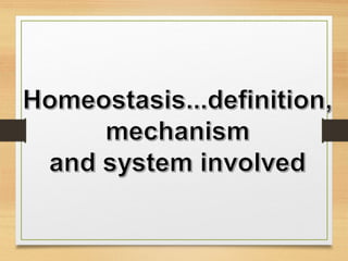 Homeostasis | PPT