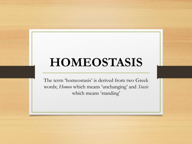 Homeostasis | PPT