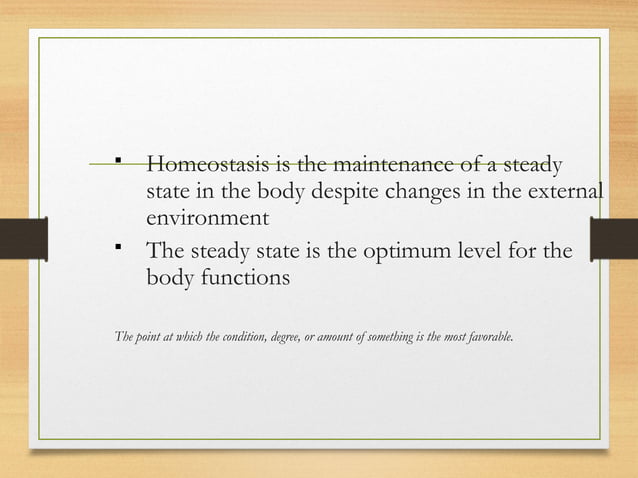 Homeostasis | PPT