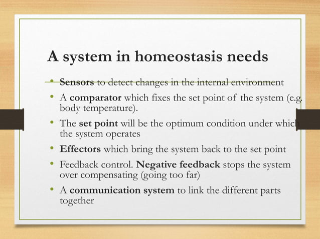 Homeostasis | PPT