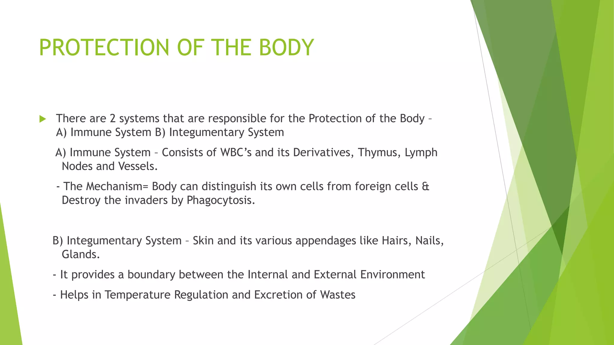 Homeostasis | PPTX | Endocrine and Metabolic Diseases | Diseases and ...