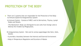Homeostasis | PPTX | Endocrine and Metabolic Diseases | Diseases and ...