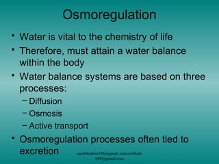Homeostasis | PPT