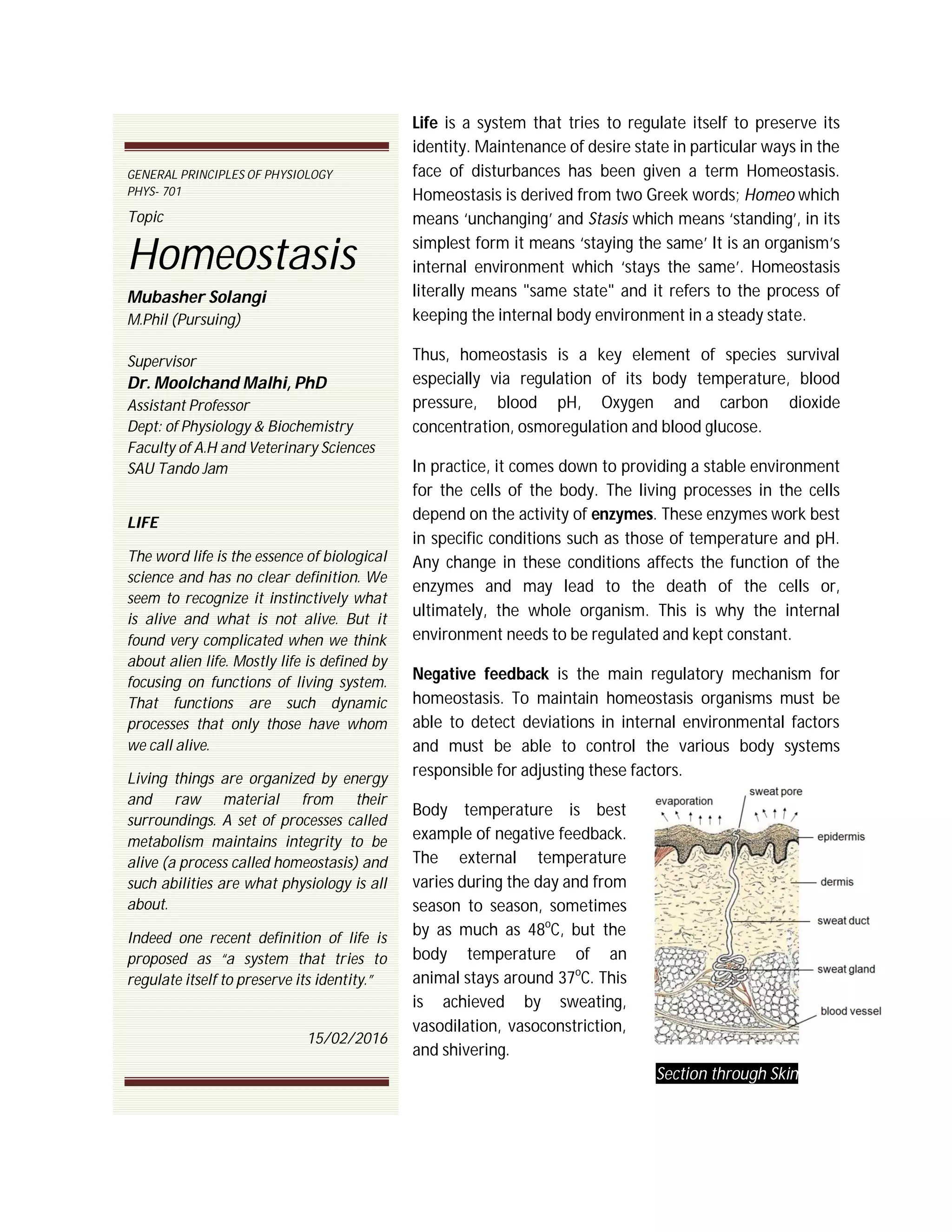 Homeostasis | PDF | Biological Sciences | Science