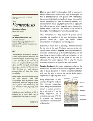 Homeostasis | PDF | Biological Sciences | Science