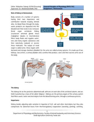 Homeostasis | PDF | Biological Sciences | Science