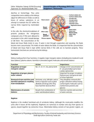 Homeostasis | PDF | Biological Sciences | Science