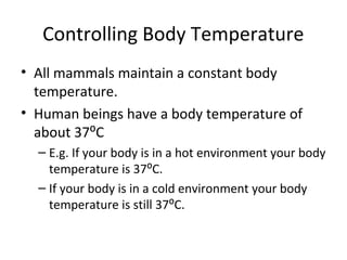 Homeostasis | PPT