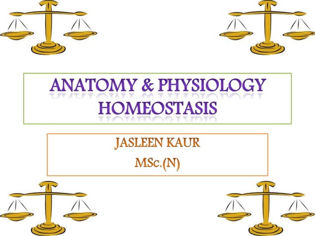 Homeostasis, the ability of body to maintain its internal balance. | PPTX | Endocrine and ...