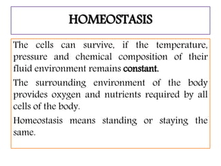 Homeostasis, the ability of body to maintain its internal balance. | PPTX