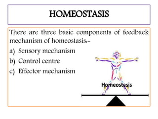 Homeostasis, the ability of body to maintain its internal balance. | PPTX