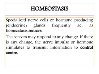 Homeostasis, the ability of body to maintain its internal balance. | PPTX