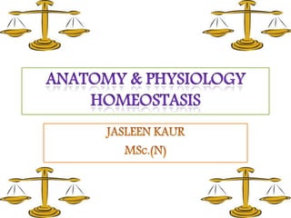 Homeostasis Balance Model