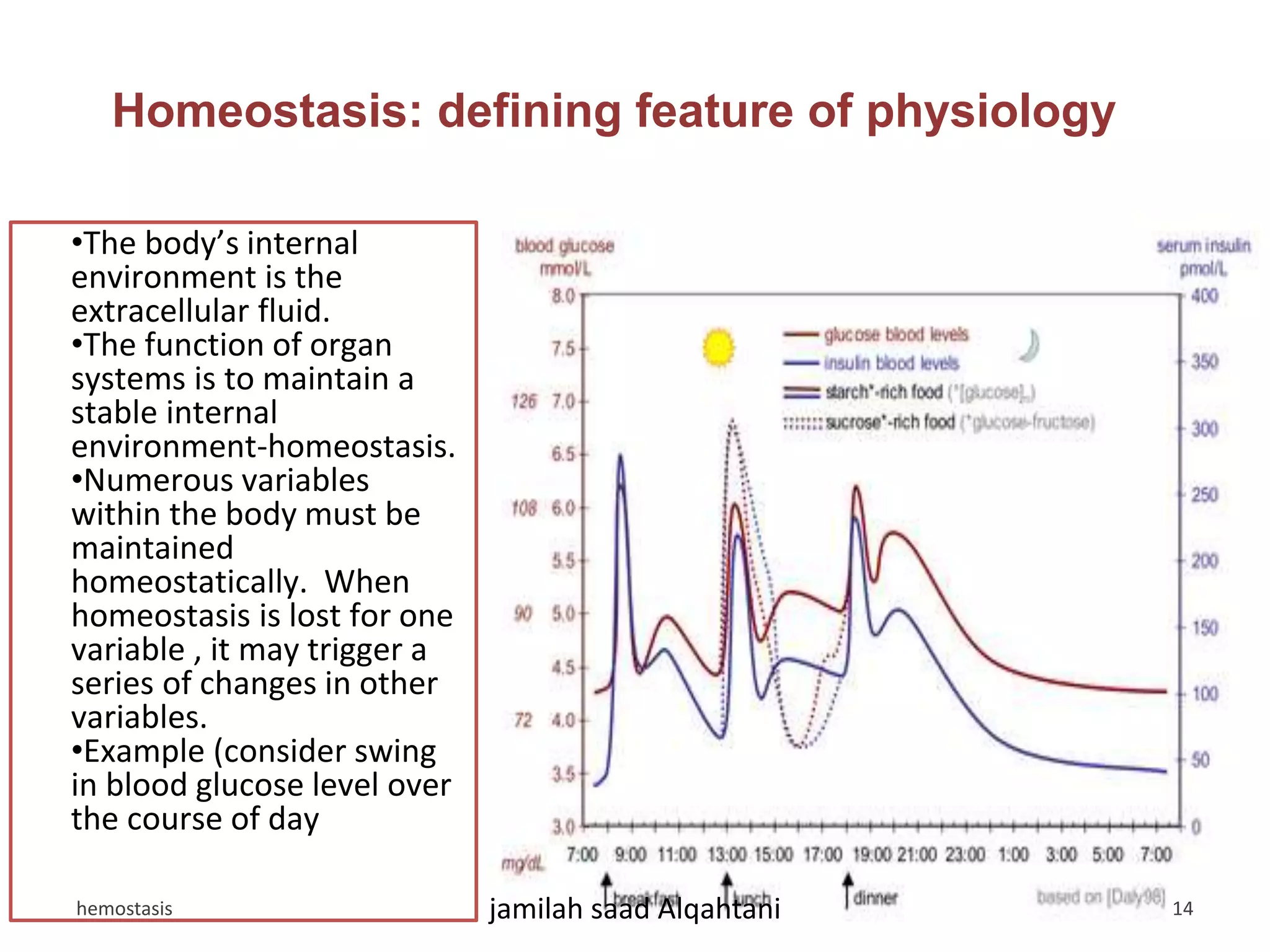 Homeostasis | PPTX