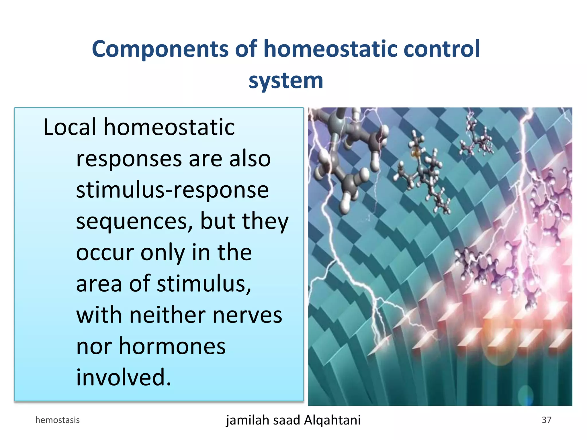 Homeostasis | PPTX