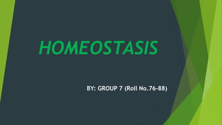 Homeostasis | PPT