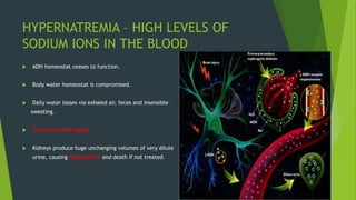 Homeostasis | PPTX