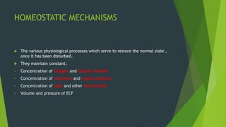 Homeostasis | PPT