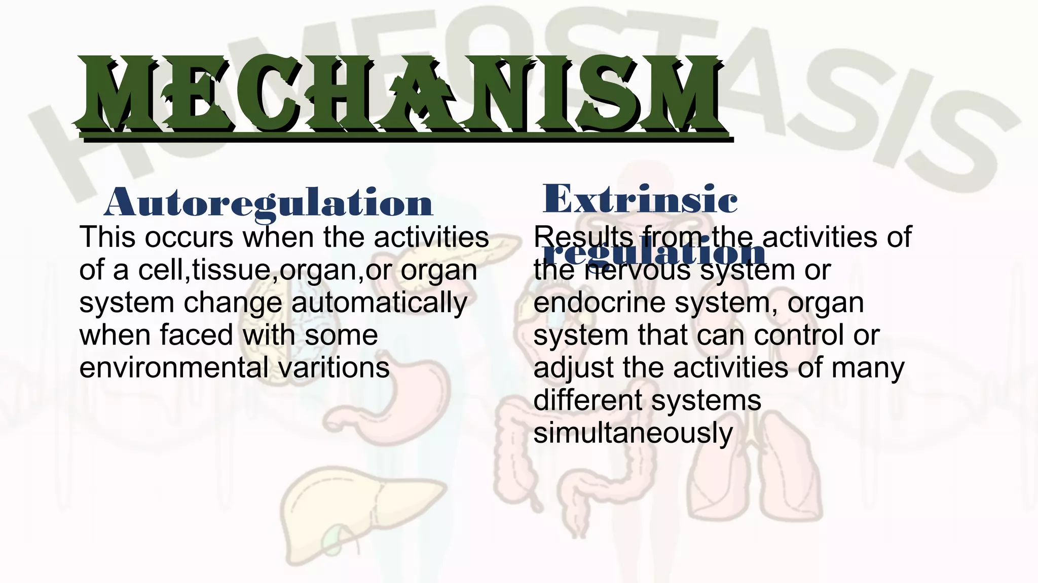 Homeostasis | PPT | Biological Sciences | Science