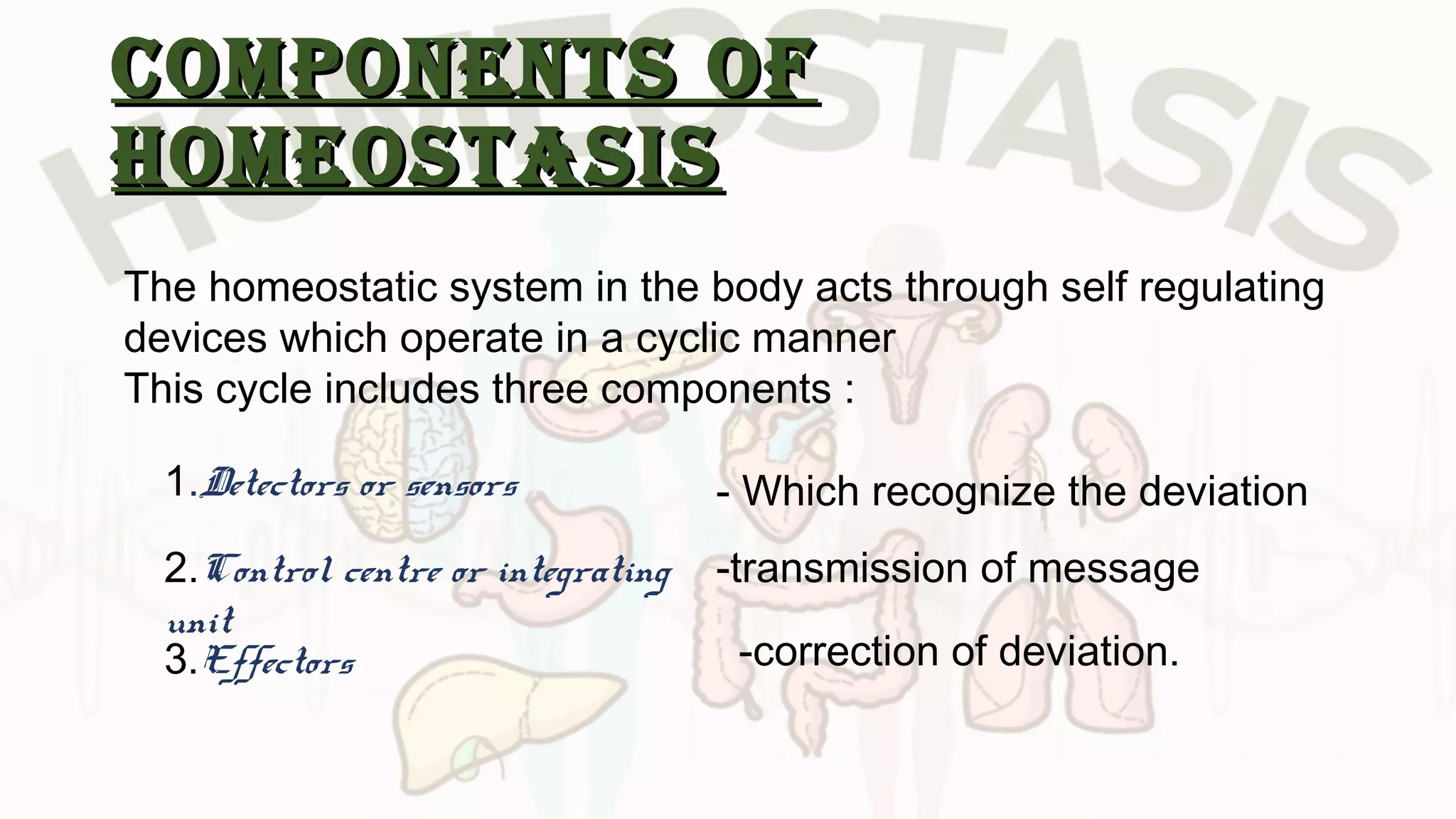 Homeostasis | PPT | Biological Sciences | Science
