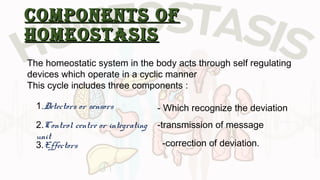 Homeostasis | PPT