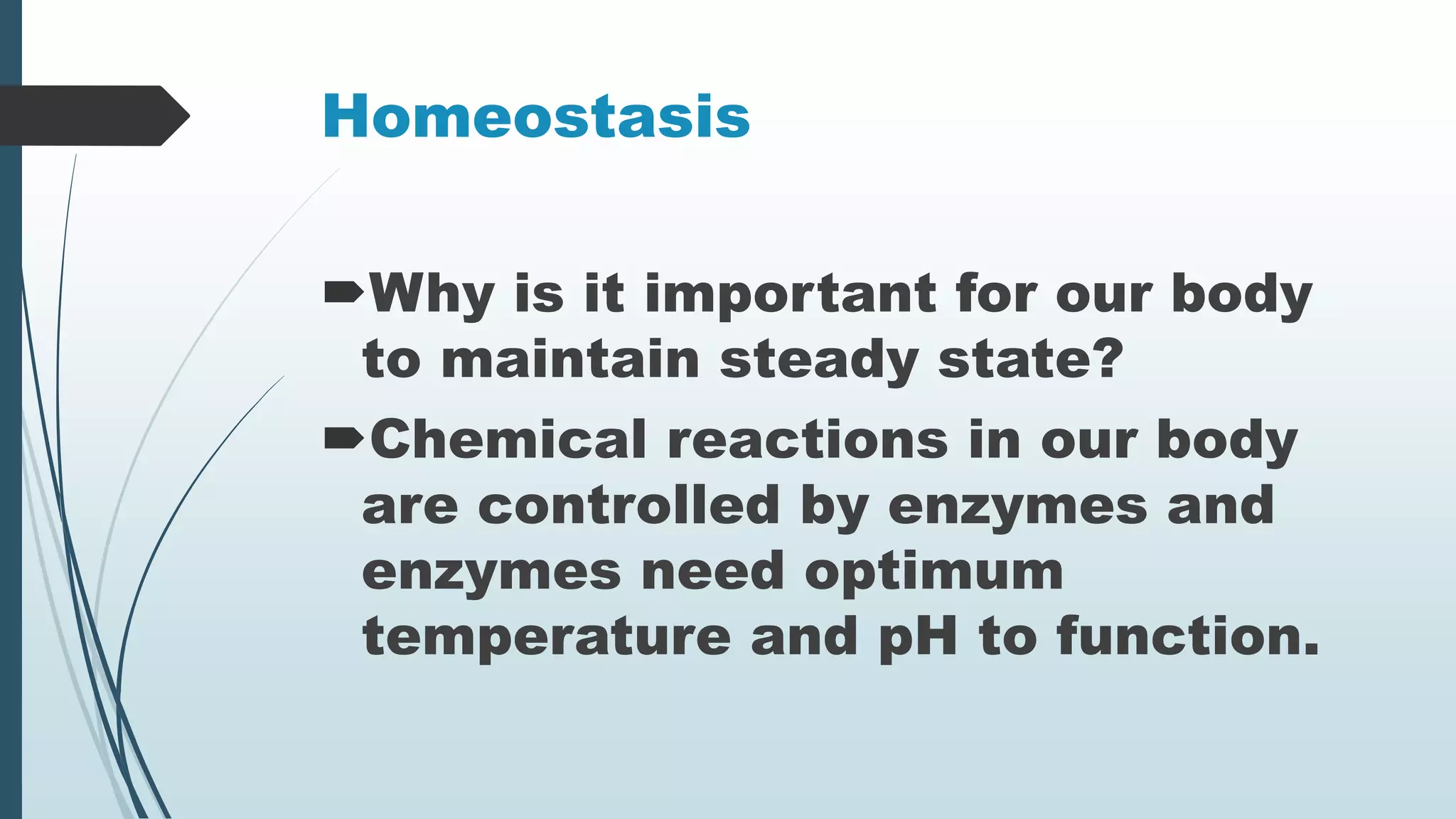 Homeostasis | PPTX