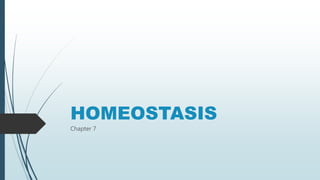 Homeostasis | PPTX