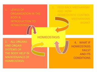 Homeostasis | PDF