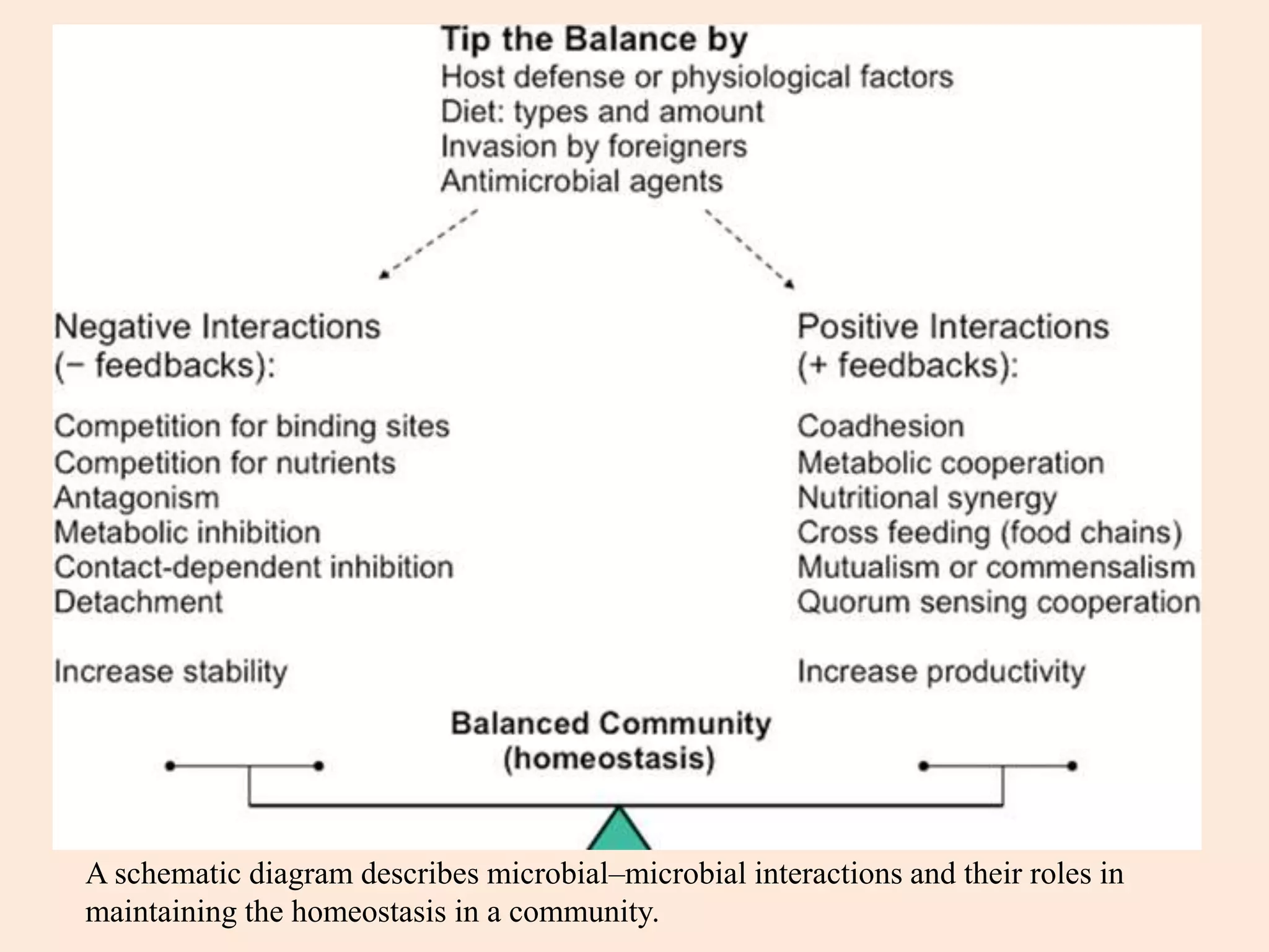 Homeostasis- Microbial ecology | PPTX
