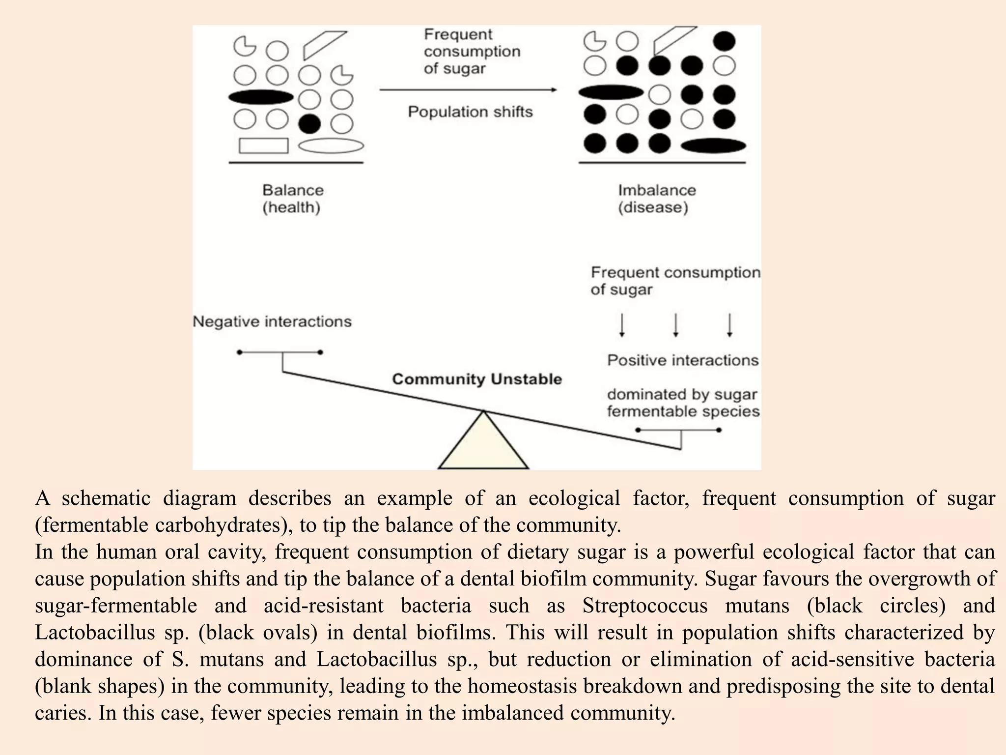 Homeostasis- Microbial ecology | PPTX