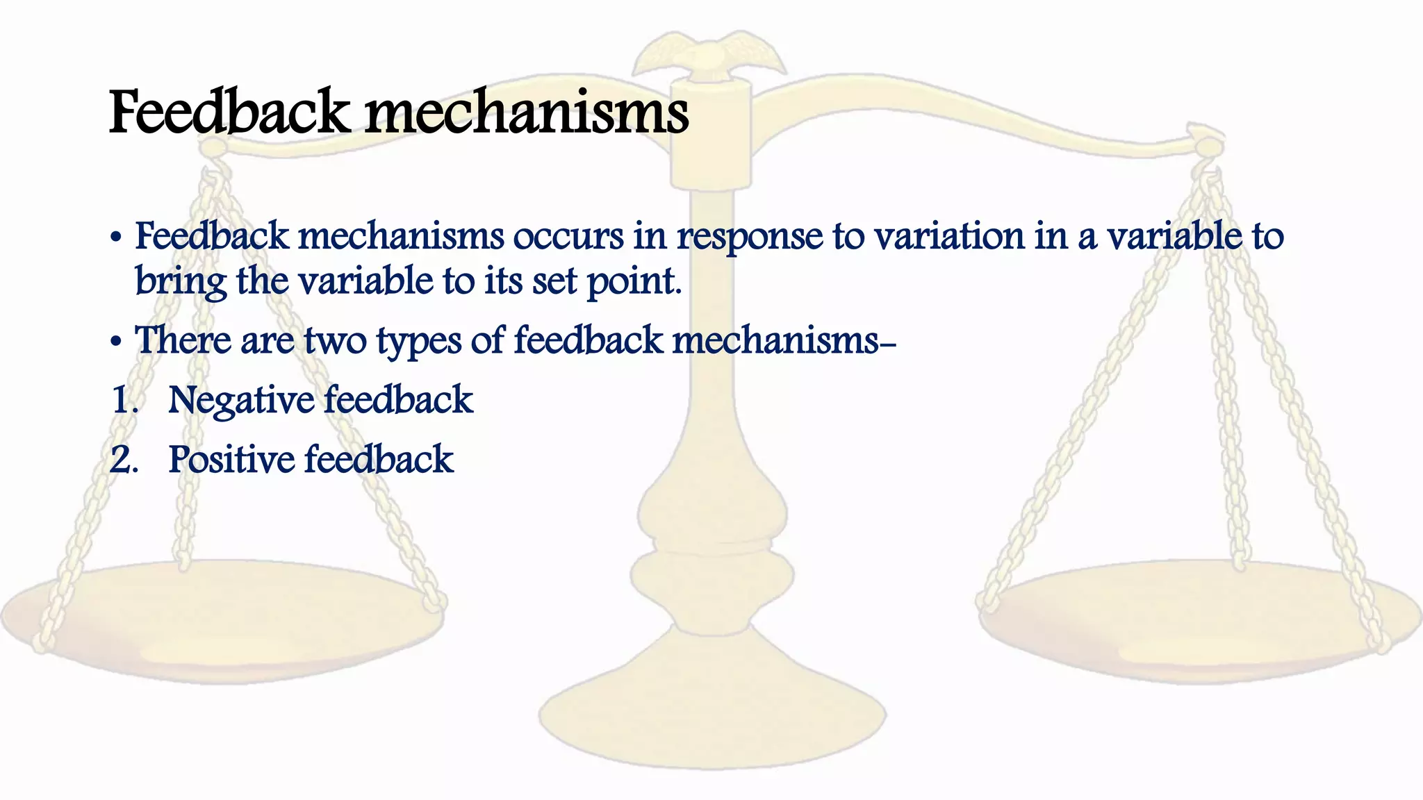 Homeostasis I Negative and Positive Feedback Mechanism I Feedforward Mechanism I General ...