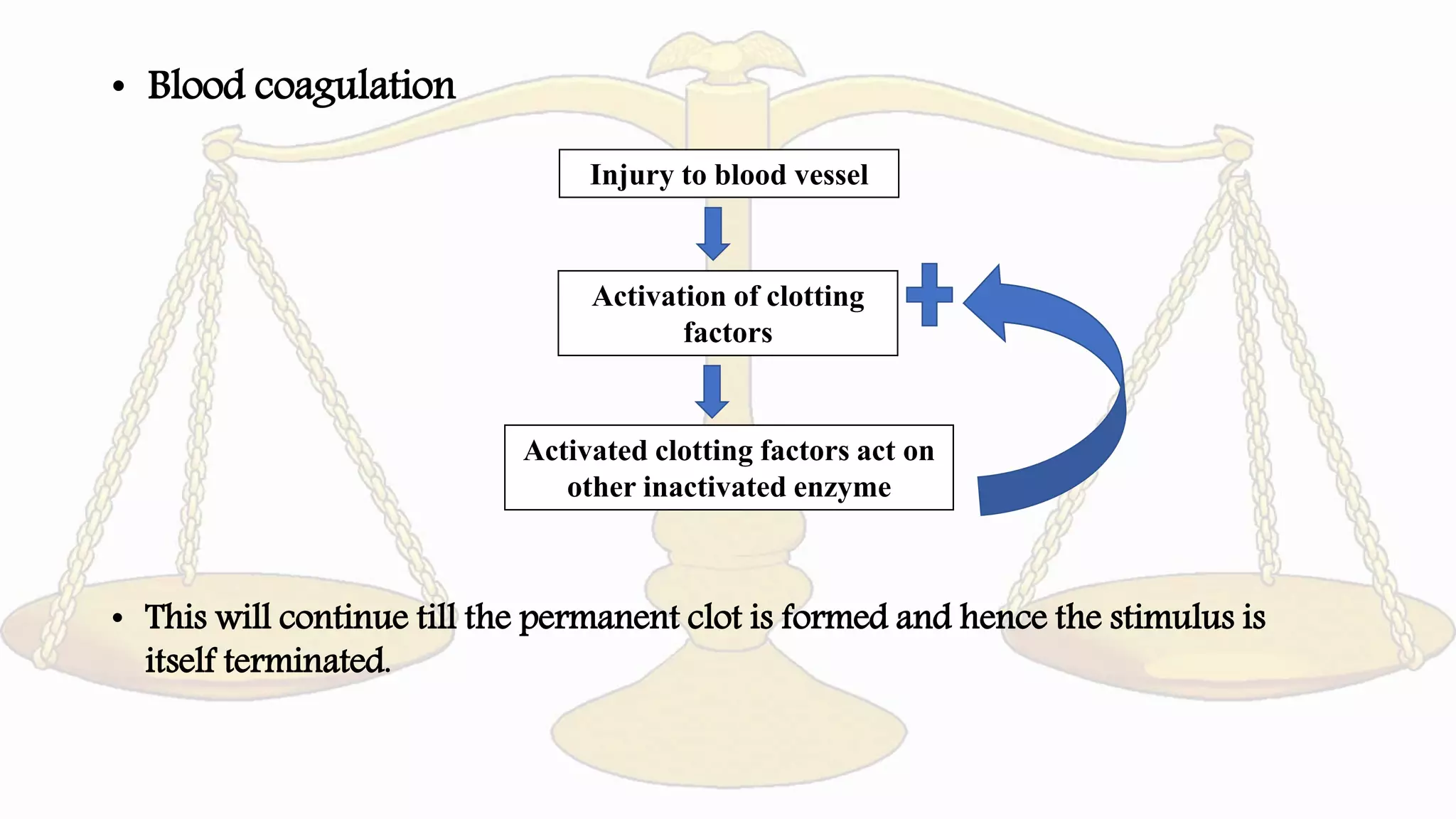Homeostasis I Negative and Positive Feedback Mechanism I Feedforward Mechanism I General ...