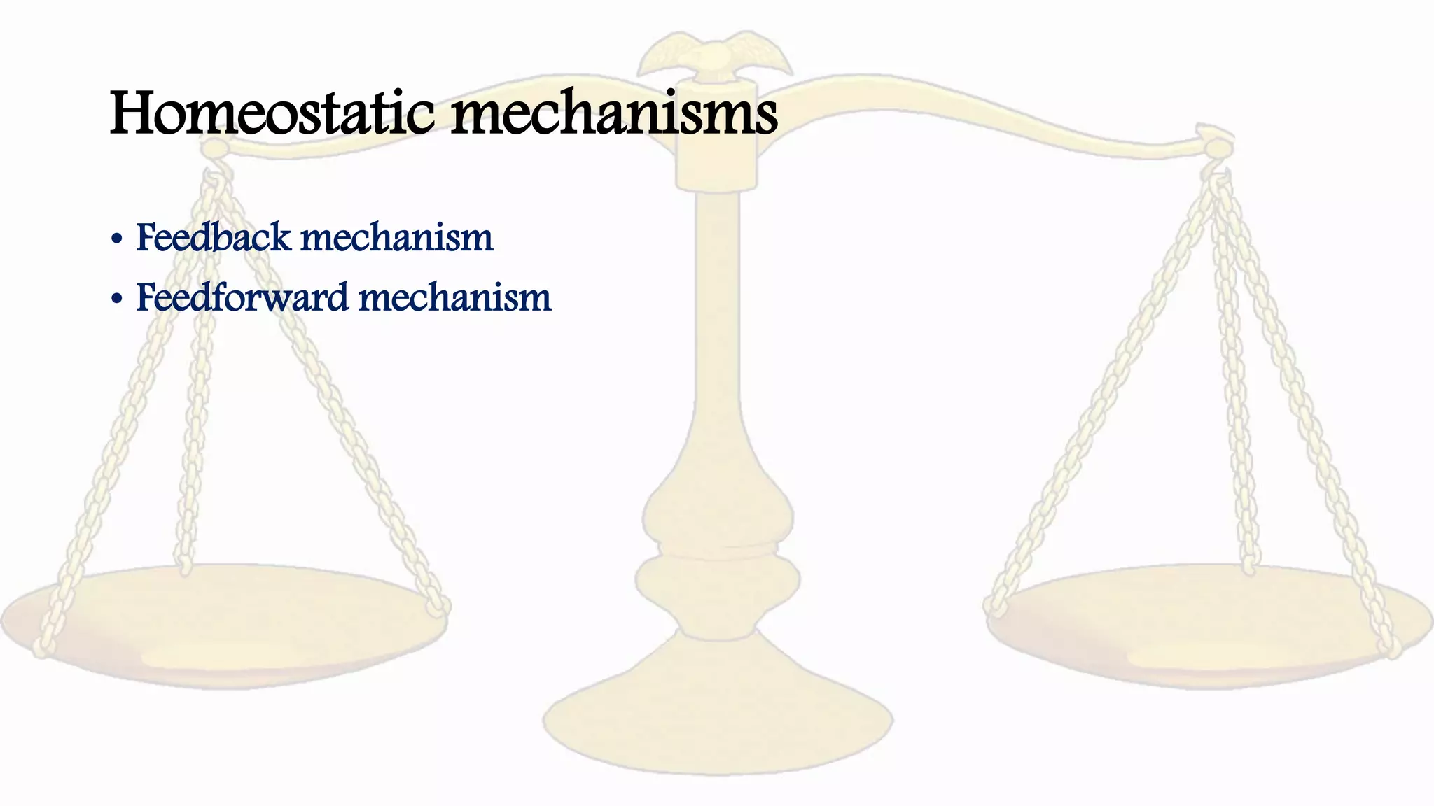 Homeostasis I Negative and Positive Feedback Mechanism I Feedforward Mechanism I General ...