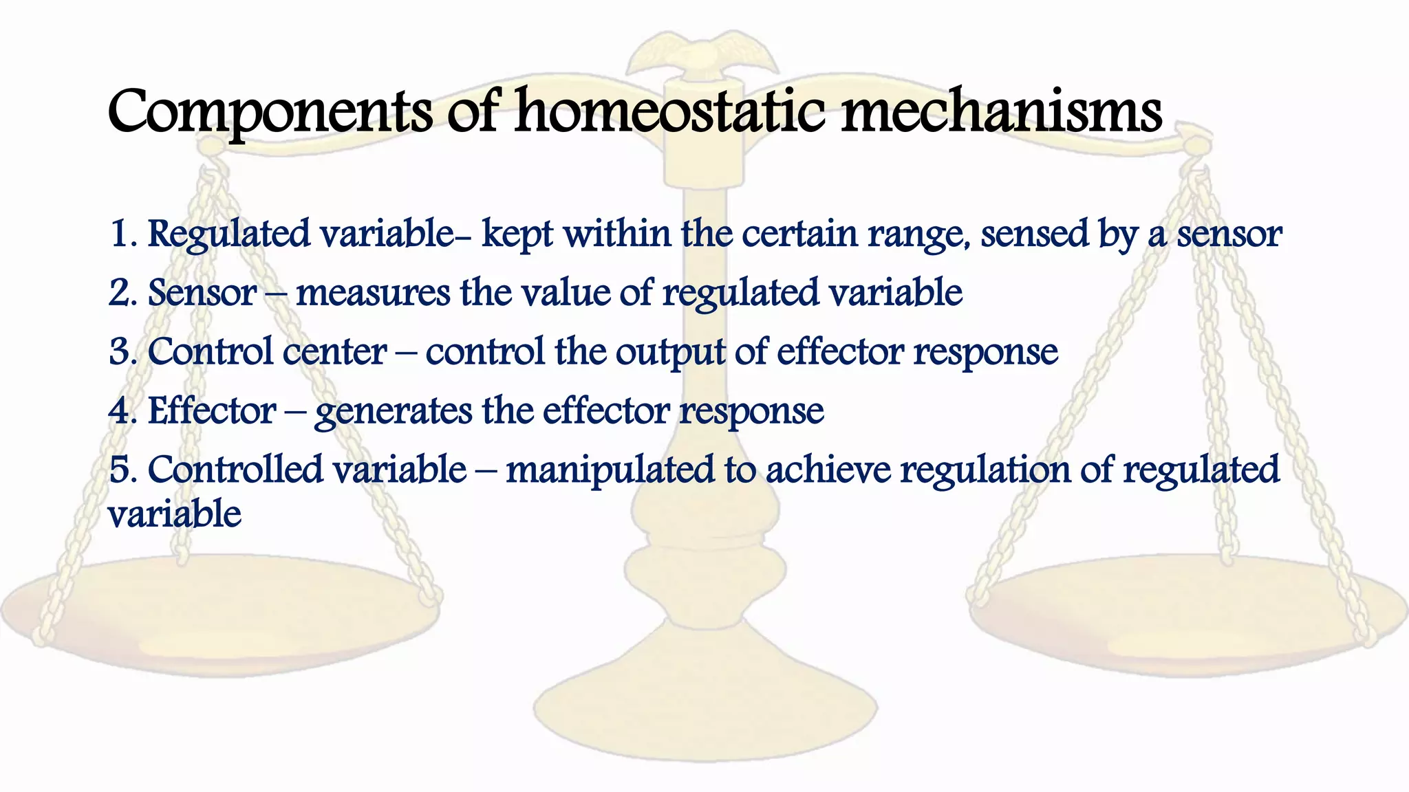 Homeostasis I Negative and Positive Feedback Mechanism I Feedforward Mechanism I General ...