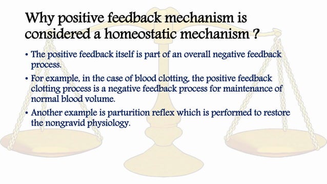 Homeostasis I Negative and Positive Feedback Mechanism I Feedforward ...
