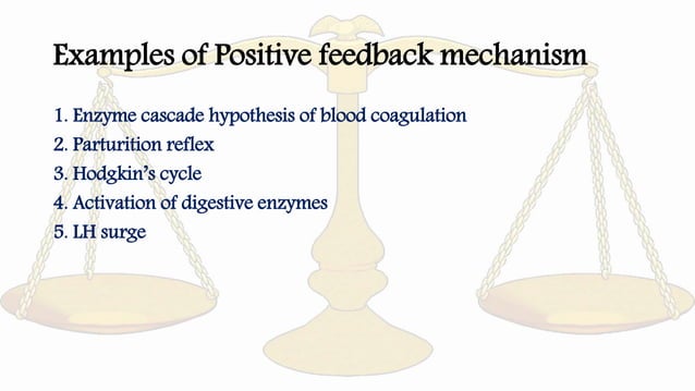Homeostasis I Negative and Positive Feedback Mechanism I Feedforward ...