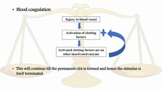 Positive Feedback Mechanism Blood Clotting