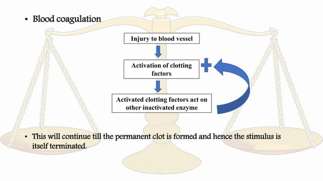Homeostasis I Negative and Positive Feedback Mechanism I Feedforward ...
