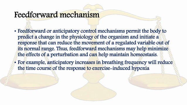 Homeostasis I Negative and Positive Feedback Mechanism I Feedforward Mechanism I General ...